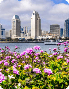 Alcohol Detox | Pacific Bay Recovery